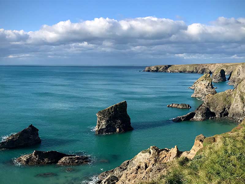 Why Visit Cornwall in Winter - Wilderness England