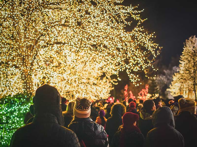 Why Visit England in November | Wilderness England