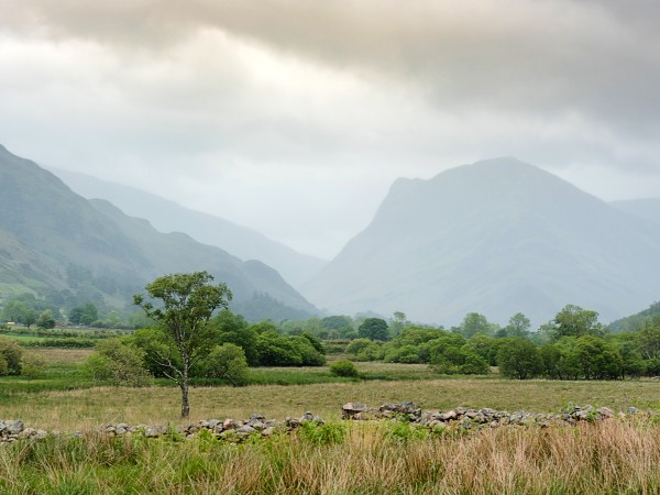 Contact us : Wilderness England