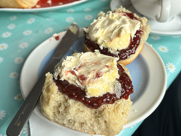 Best Cream Tea in Cornwall - Wilderness England