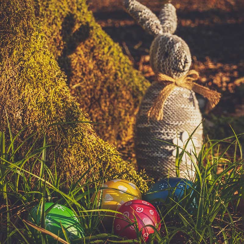 Why You Should Visit England in April - Wilderness England