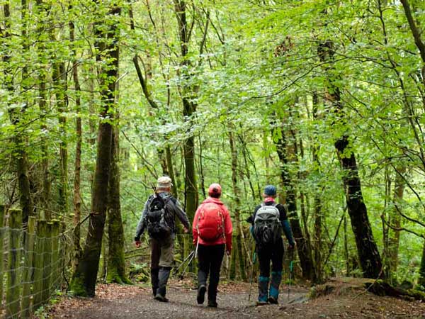 Why You Should Visit England in April - Wilderness England