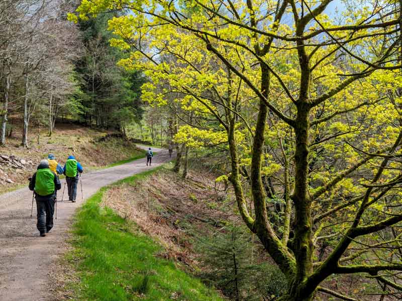 Why You Should Visit England in March - Wilderness England