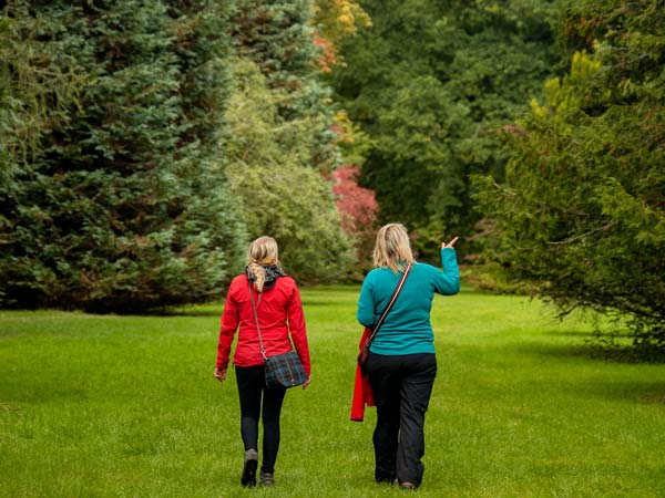 Why You Should Visit England in October - Wilderness England