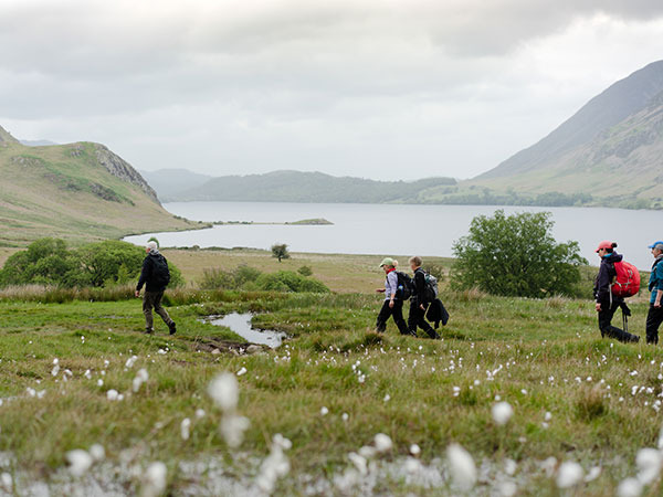 Climate Change England | Wilderness England