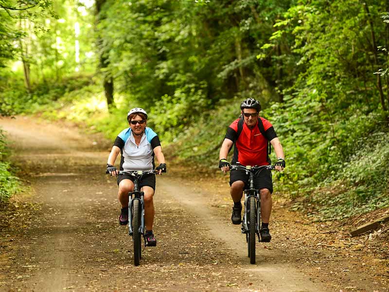 Why You Should Visit England in July - Wilderness England