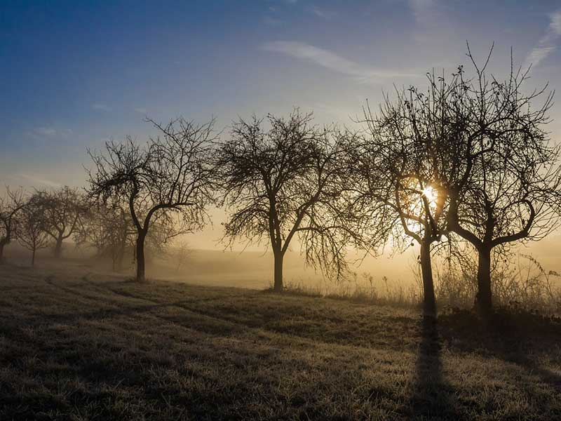 Why Visit England in November | Wilderness England