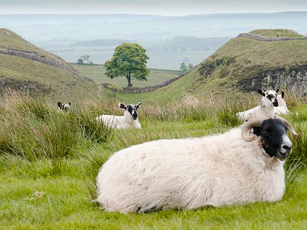 Small Group Travel: What to Expect - Wilderness England