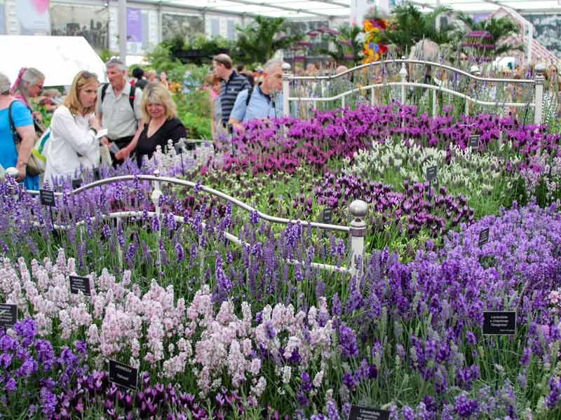 Why You Should Visit England in May - Wilderness England