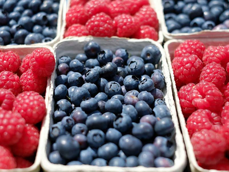 Why You Should Visit England in July - Wilderness England