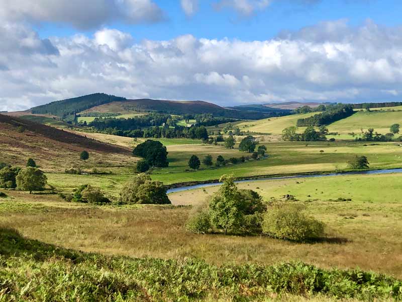 Why You Should Visit England in August - Wilderness England