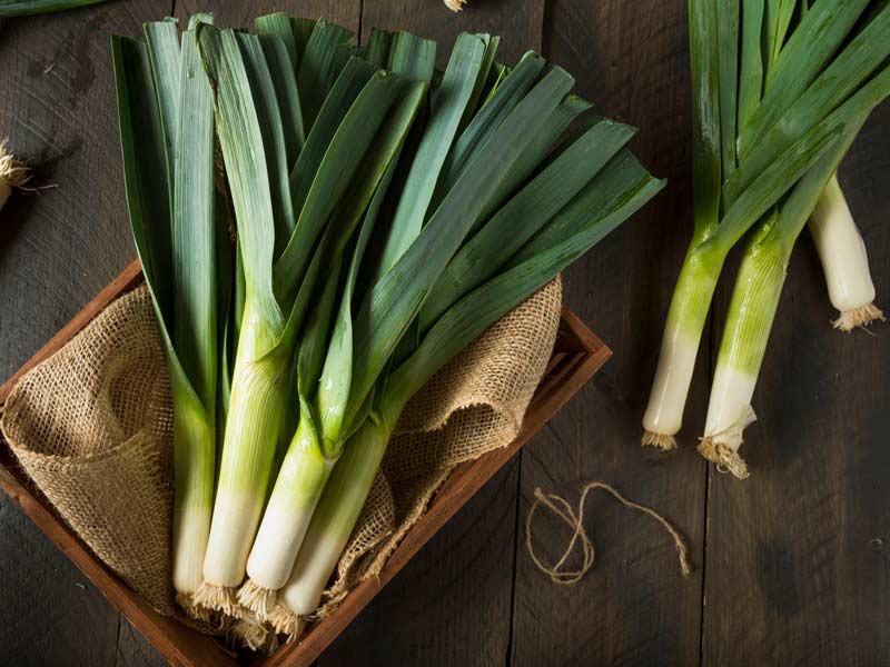 What to Eat in Wales - Wilderness England