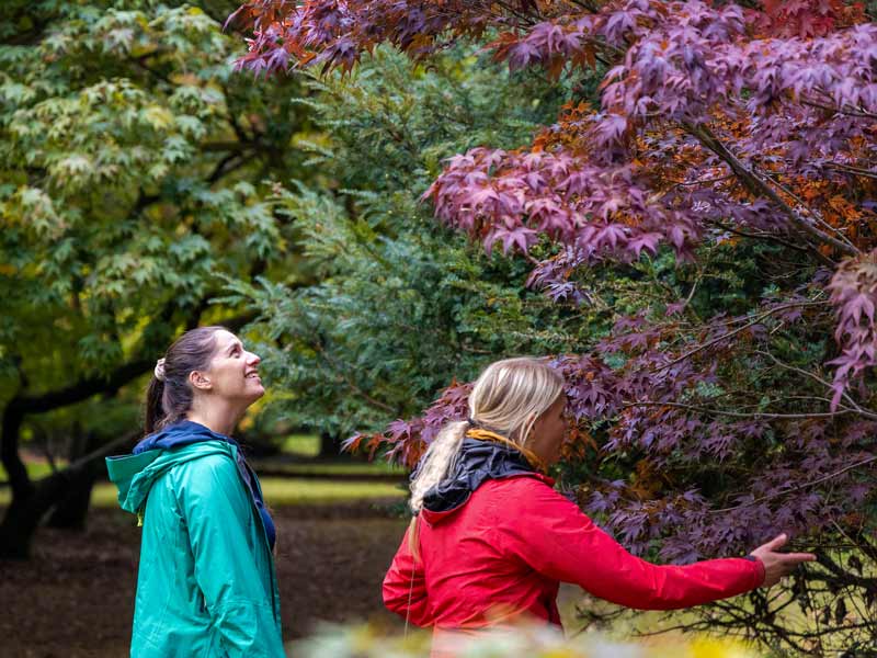 Why You Should Visit England in October - Wilderness England