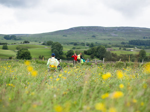 Things to Do in Yorkshire | Wilderness England