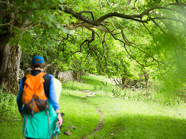 Solo Holidays - Wilderness England