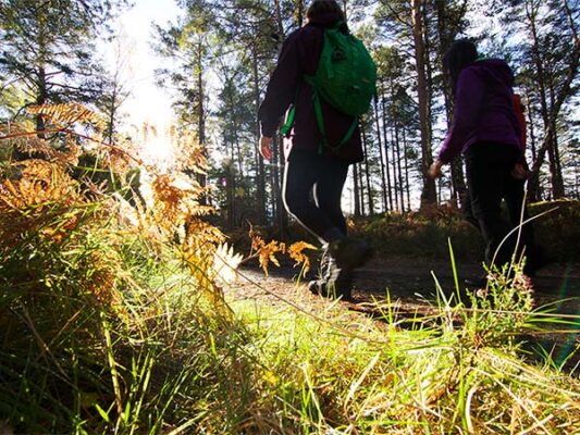 Experience Autumn in England | Wilderness England