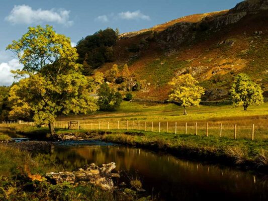 Experience Autumn in England | Wilderness England