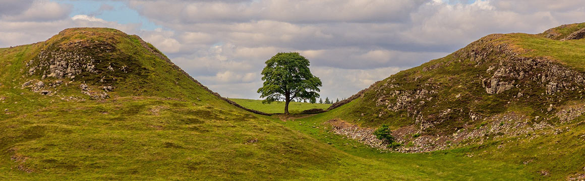 Things to Do in Northumberland - Wilderness England